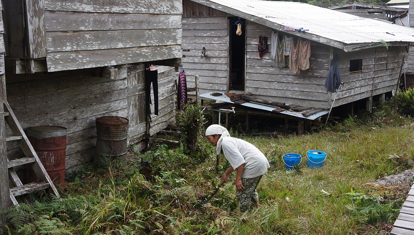 Climbing Mount Murud: A journey to meet God | The Straits Times