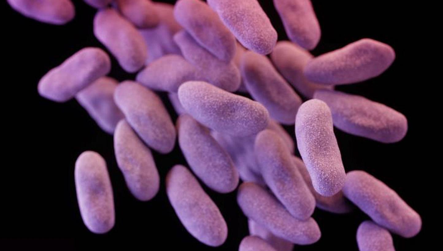 Los Angeles hospital alert after 'superbug' outbreak | The Straits Times