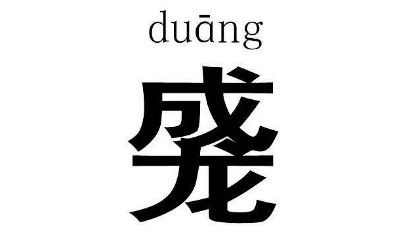 foto duang