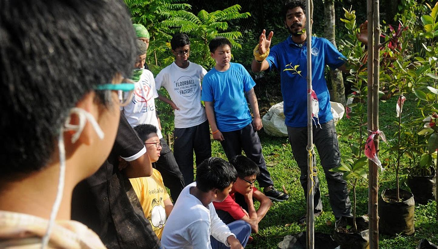 Students plant trees on Pulau Ubin in national project to preserve ...