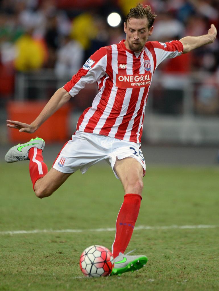 Football: Crouch says Stoke's top-10 finish has drawn quality signings ...
