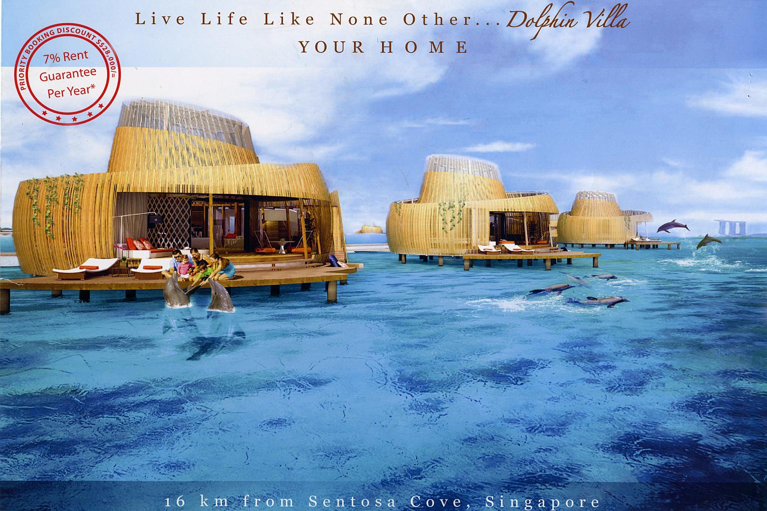 Living with dolphins | The Straits Times