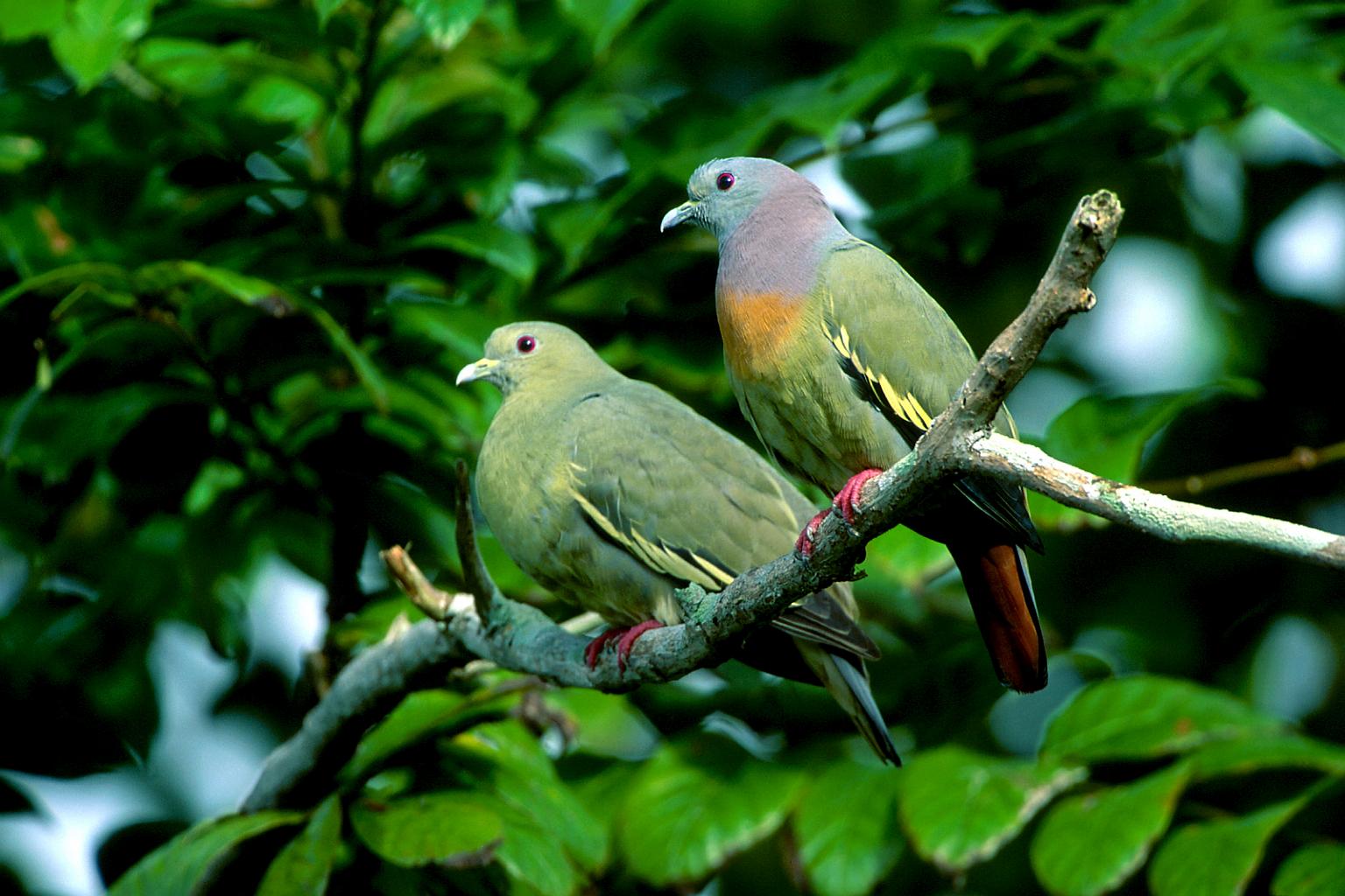 Ask the expert | The Straits Times