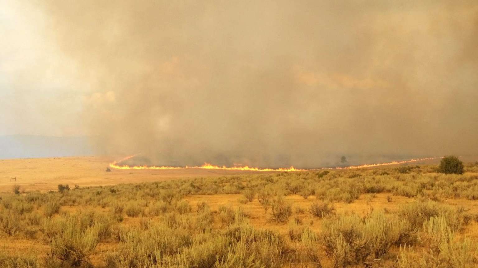 In Pictures: Wildfires across America | The Straits Times