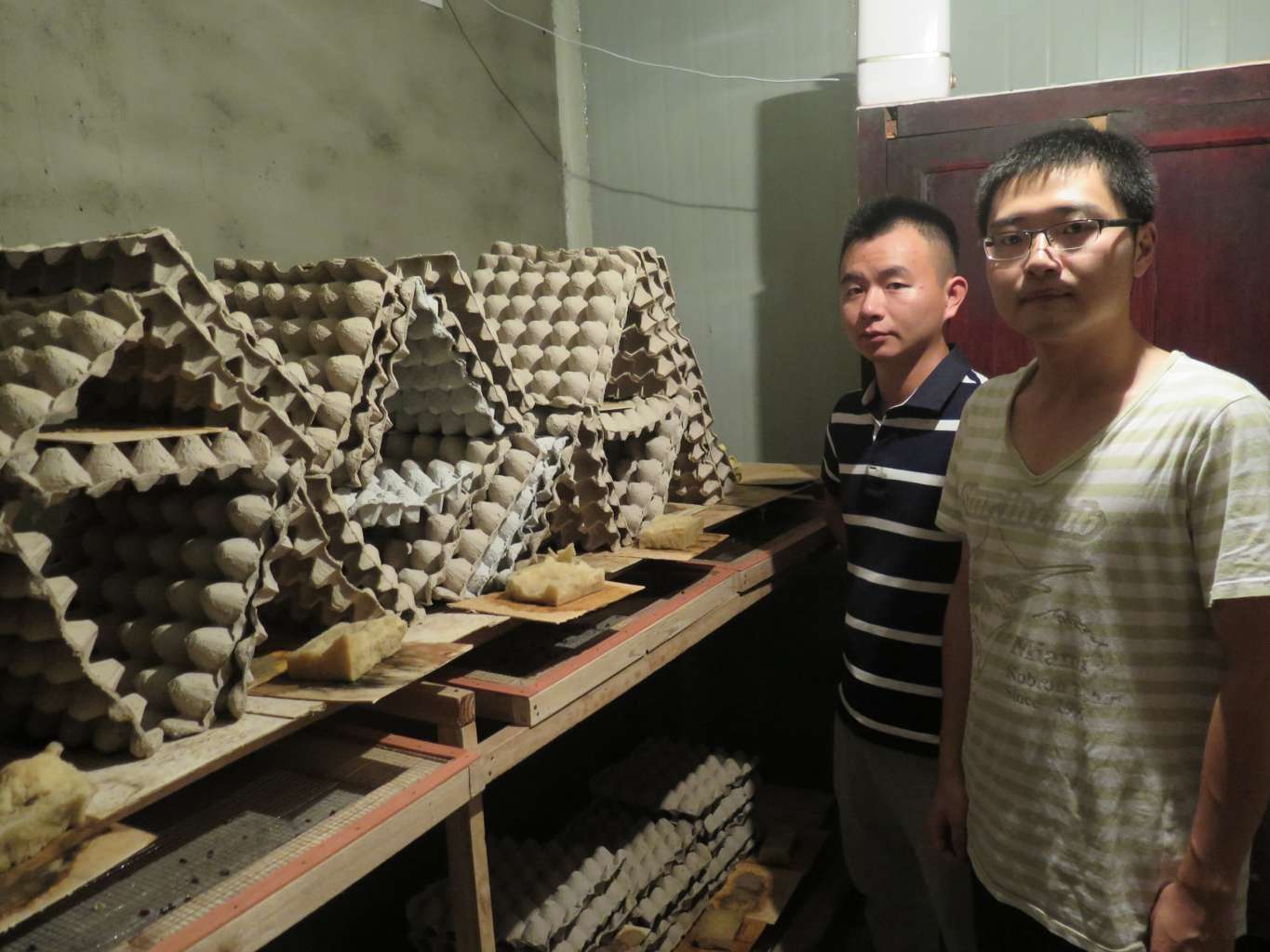 Visiting a cockroach farm in China's Chengdu | The Straits Times