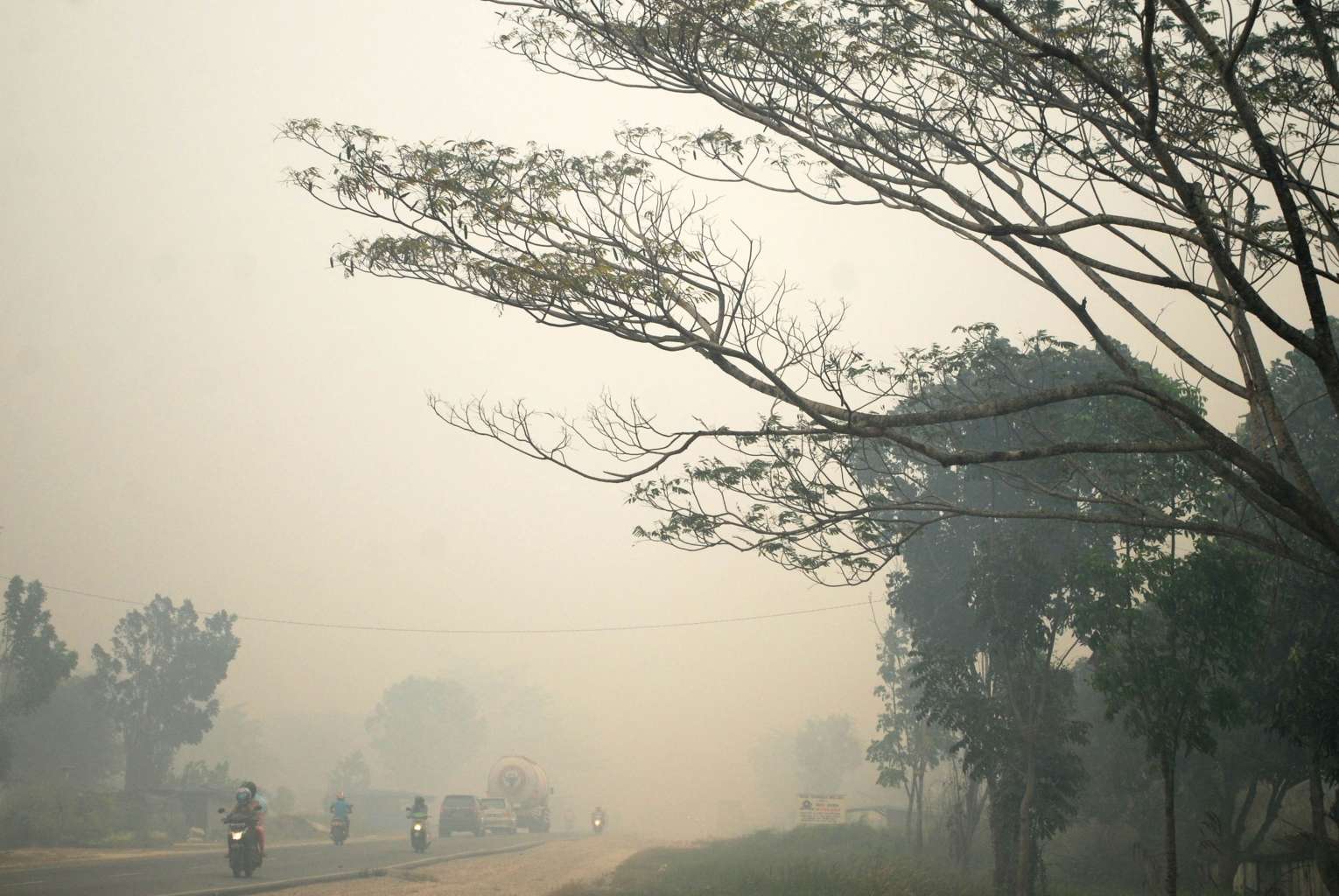 Thick haze disrupts flights in Indonesia; unhealthy air in parts of ...