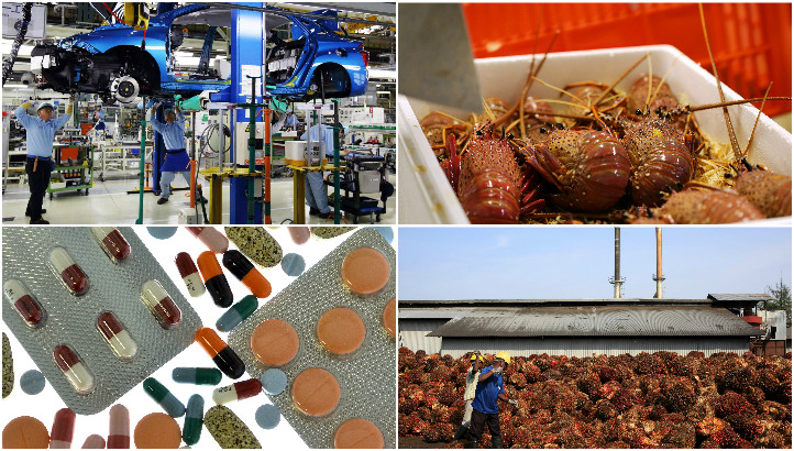 Tpp Trade Deal Some Winners And Losers The Straits Times