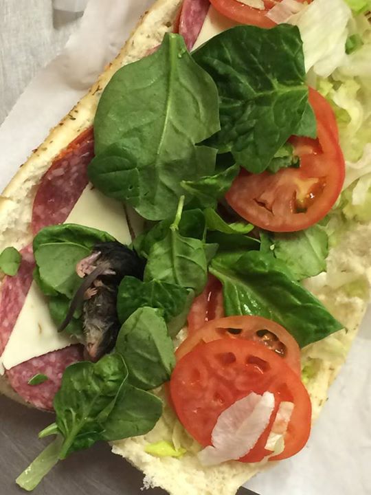 Post showing rat found in US man's Subway sandwich goes viral | The ...