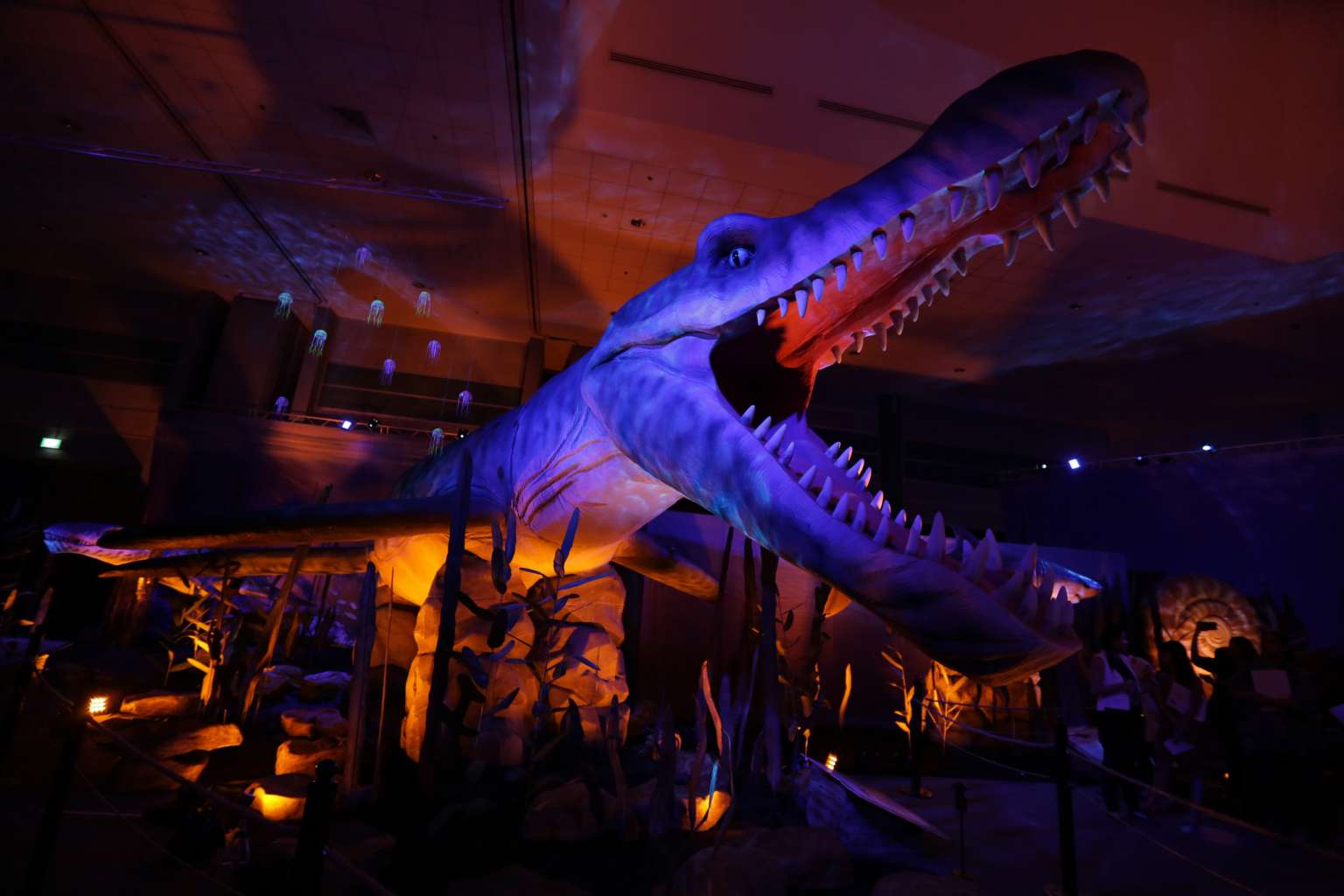 See extinct sea creatures at new science centre exhibition | The ...