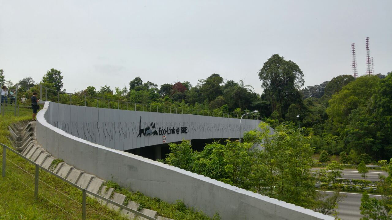 NParks starts new guided walks of Eco-Link@BKE | The Straits Times