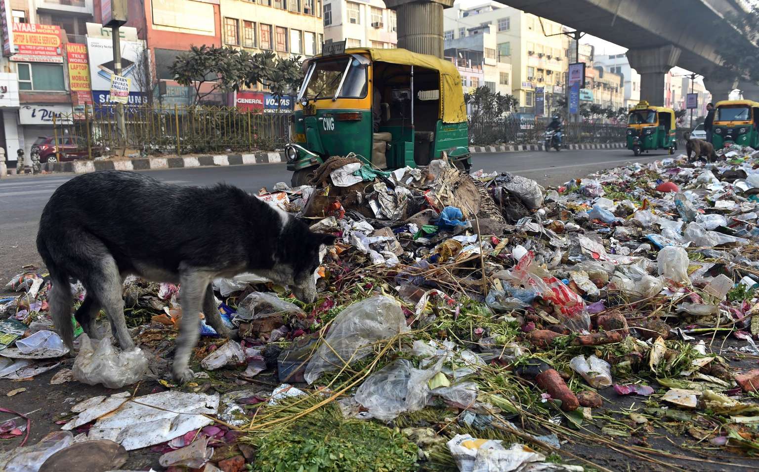 Rubbish piles up in New Delhi as collectors go on strike, dump garbage ...