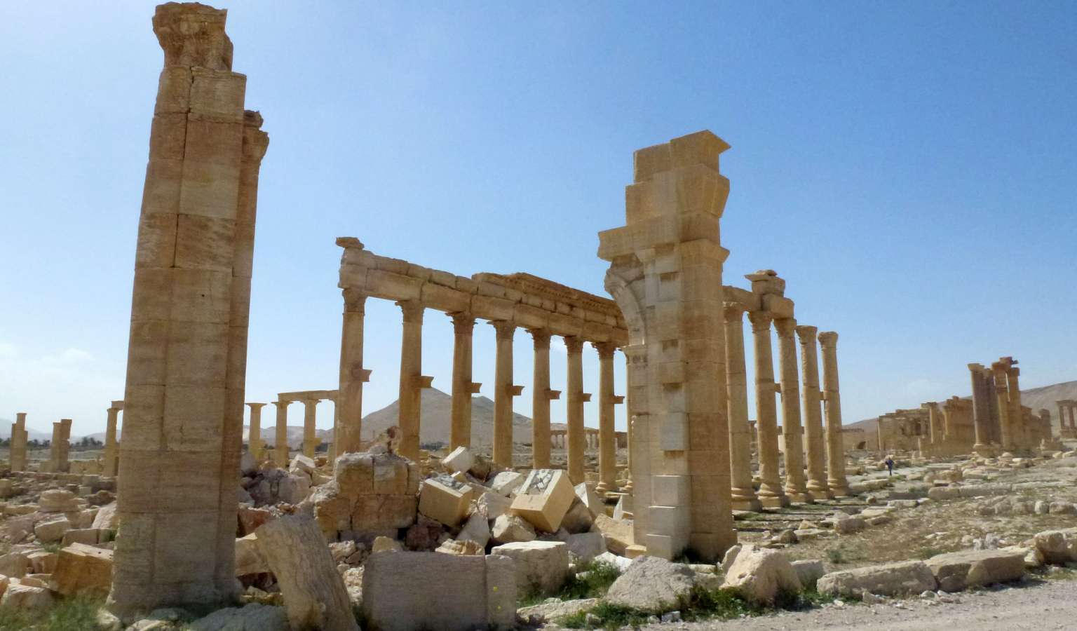Syria's Palmyra can be restored 'in five years' | The Straits Times