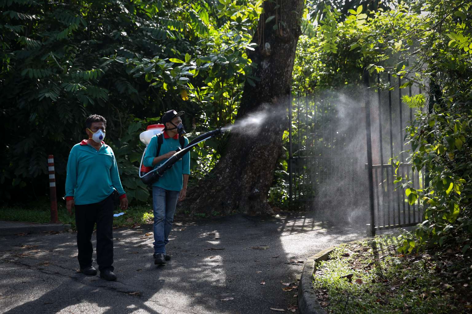 Secondary infection from Singapore's first imported Zika case 'possible ...