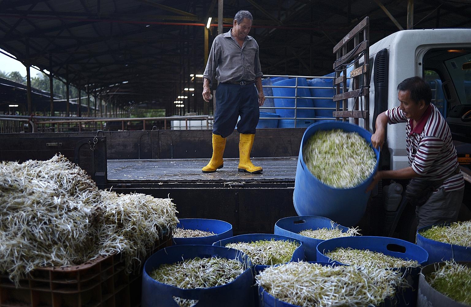 Towgay towkay | The Straits Times