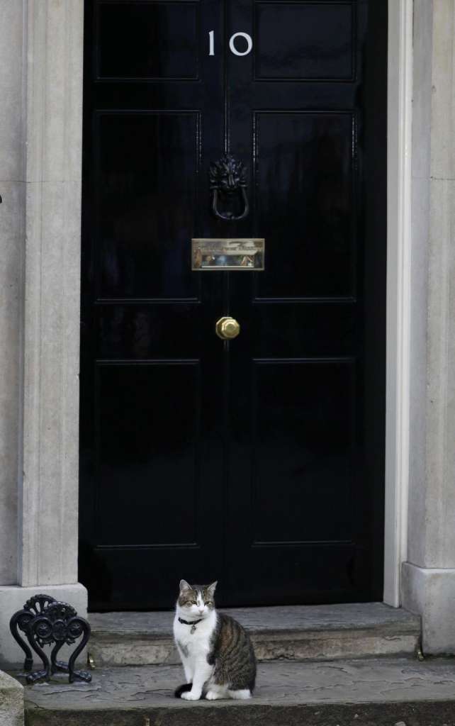 Larry the cat staying put in 10 Downing Street | The Straits Times