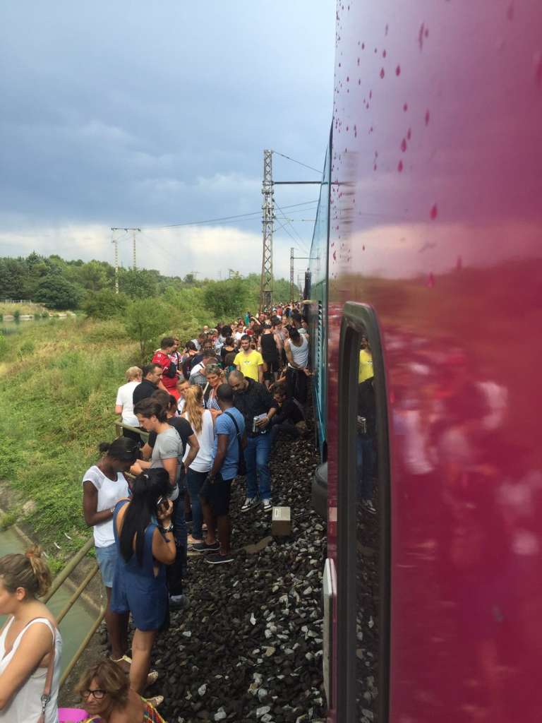 Eight passengers badly hurt as French train hits fallen tree | The ...