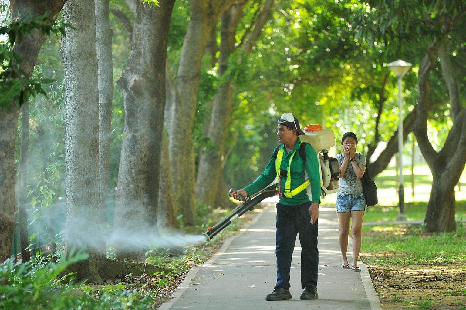 NEA working with WP on Zika | The Straits Times