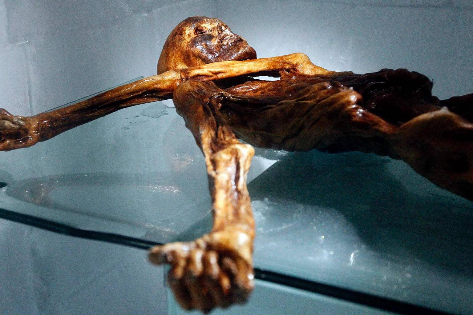 Stone Age mummy found in Italy still revealing secrets, 25 years on ...