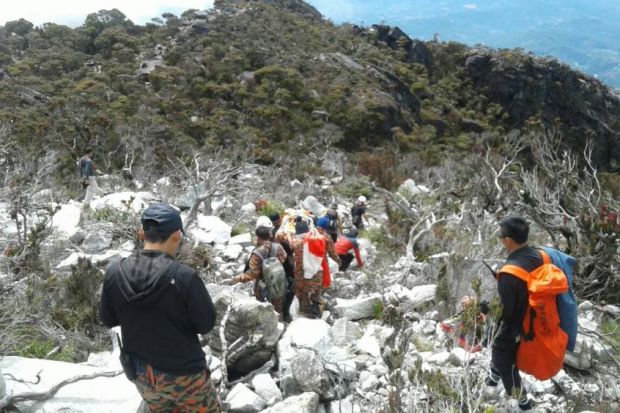 Singaporean climber dies after falling into ravine while scaling Mount ...