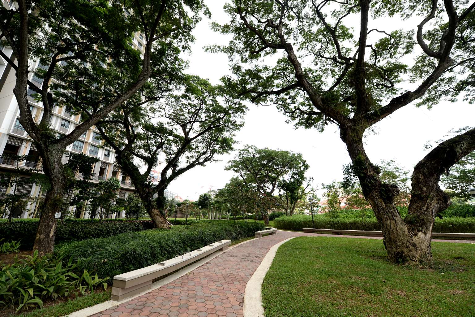 HDB unveils landscape masterplan to spruce up Dawson estate | The ...