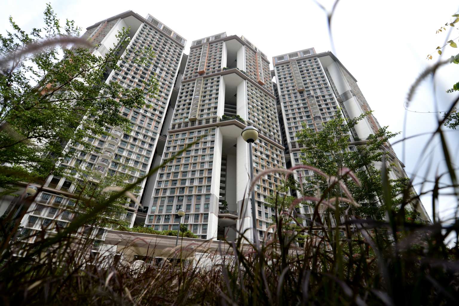 HDB unveils landscape masterplan to spruce up Dawson estate | The ...