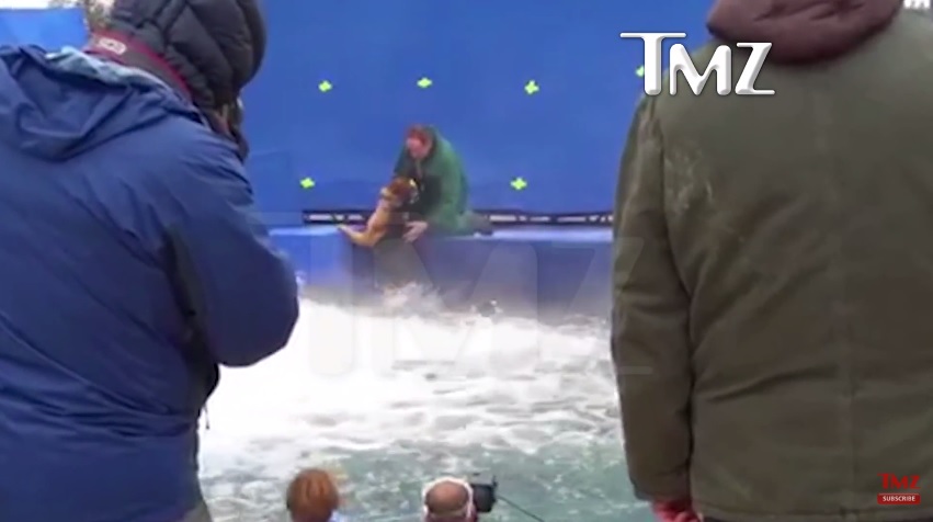 Dog forced into rushing water on movie set sparks probe | The Straits Times
