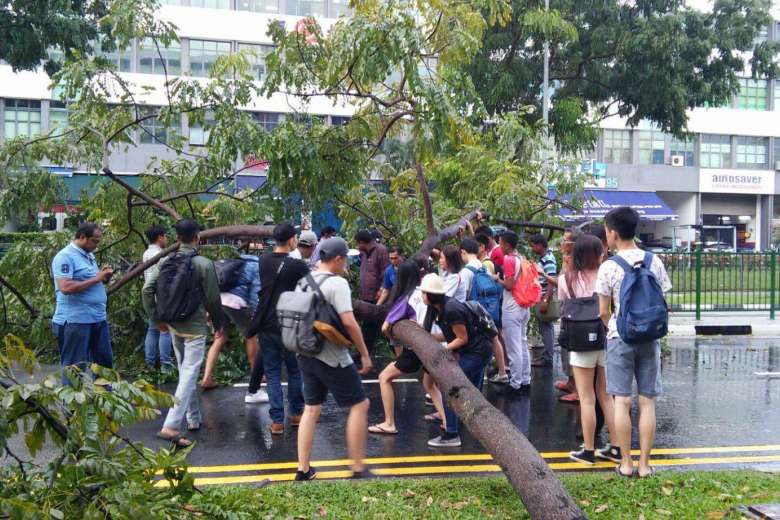 Singaporeans unite: 5 acts of kindness that prove kampung spirit still ...