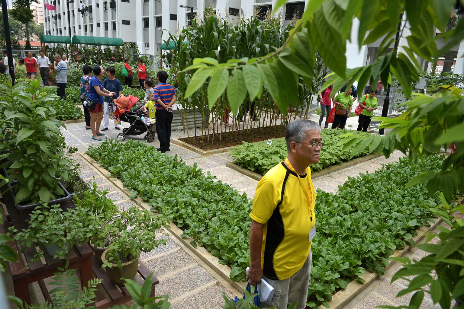 RC concerned over gardener giving medical tips along with herbs: 6 ...