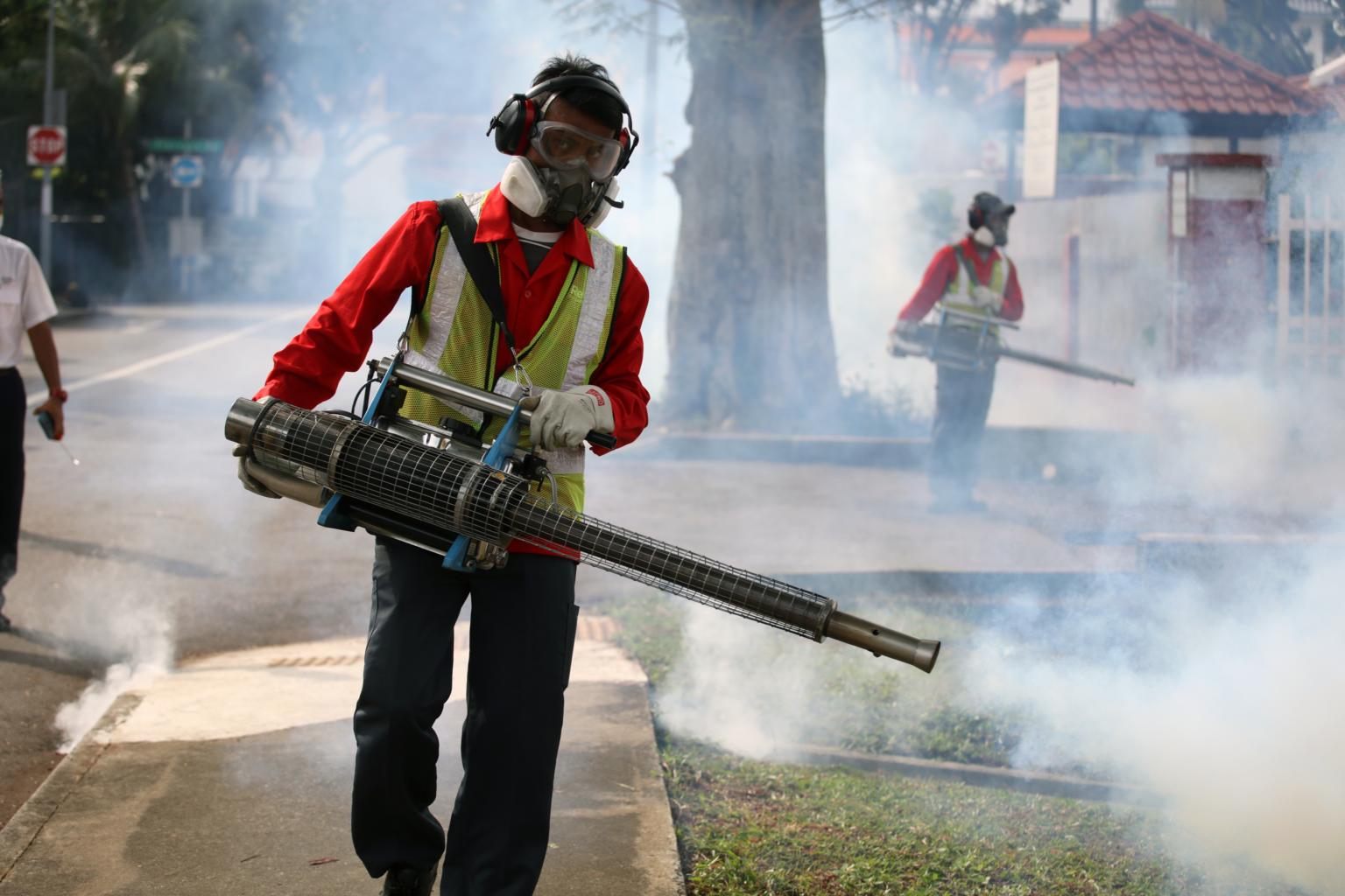 2 locally transmitted Zika cases in new Parry Avenue cluster: NEA | The ...