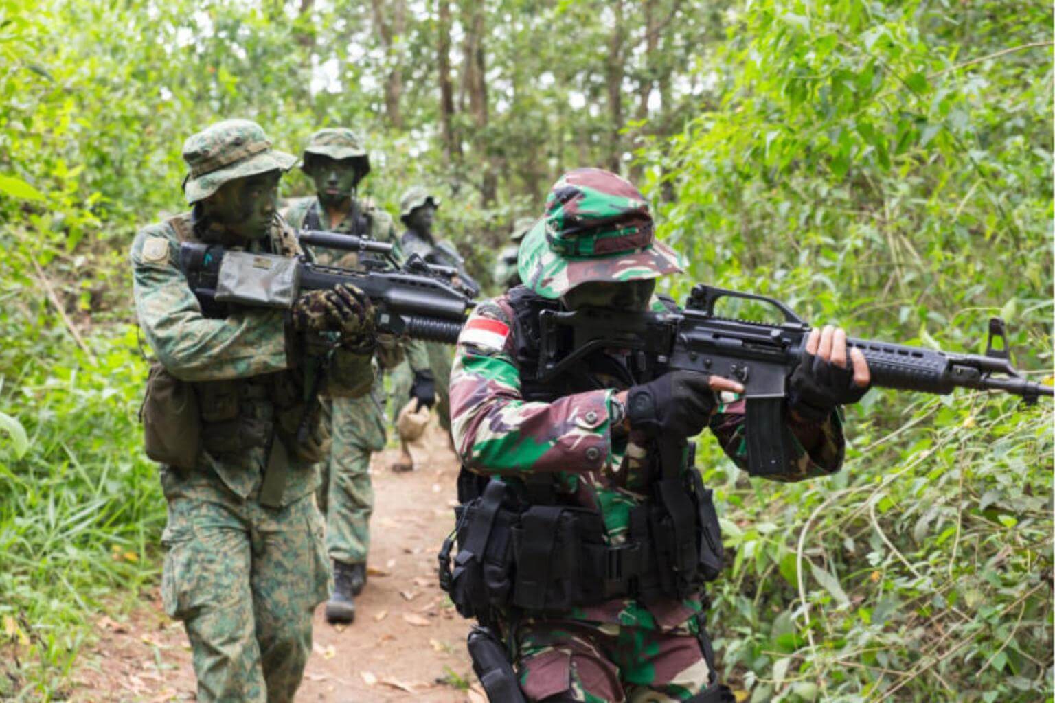 Singapore and Indonesia commandos conclude annual bilateral exercise ...