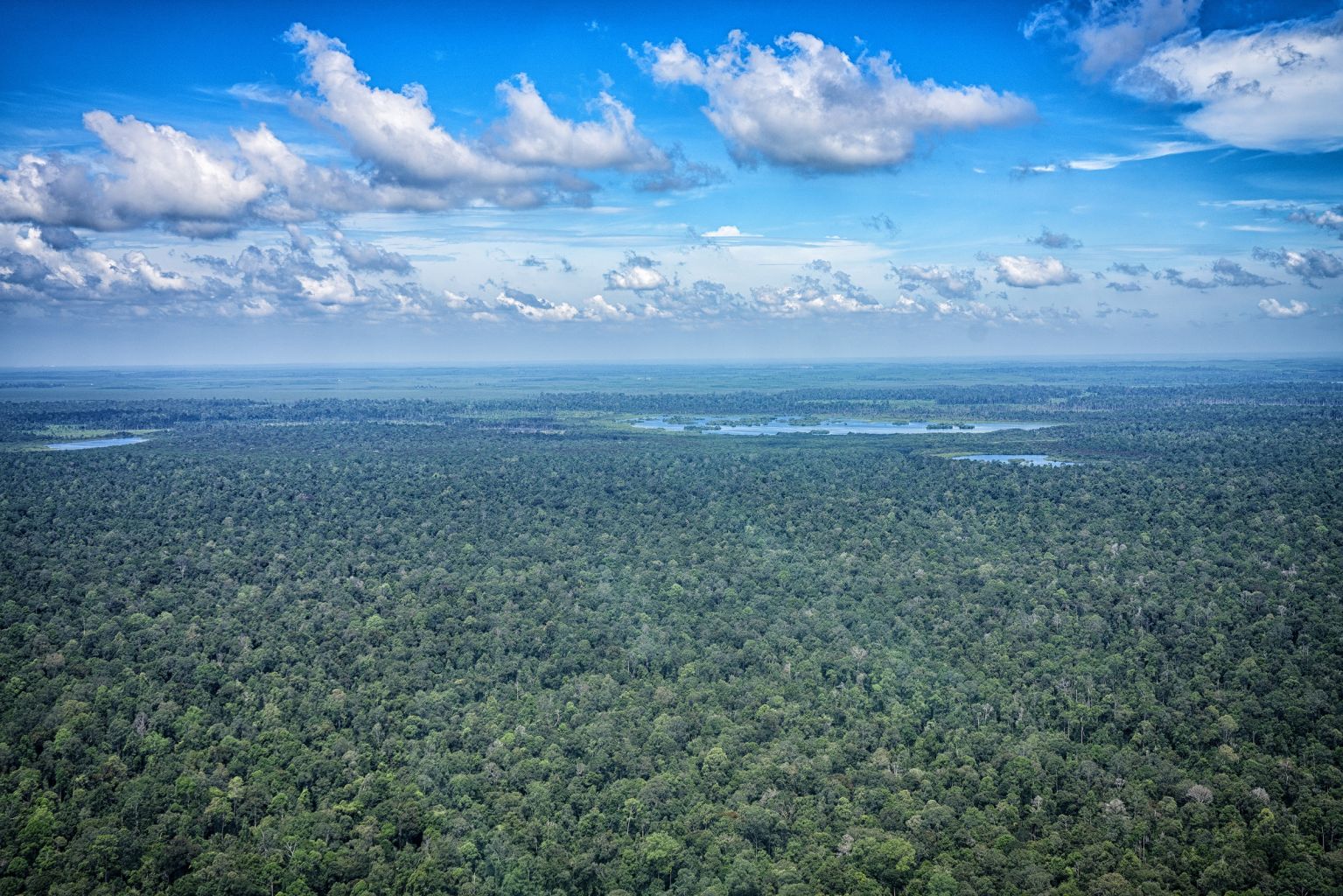 The haze fight: Committed to zero deforestation | The Straits Times
