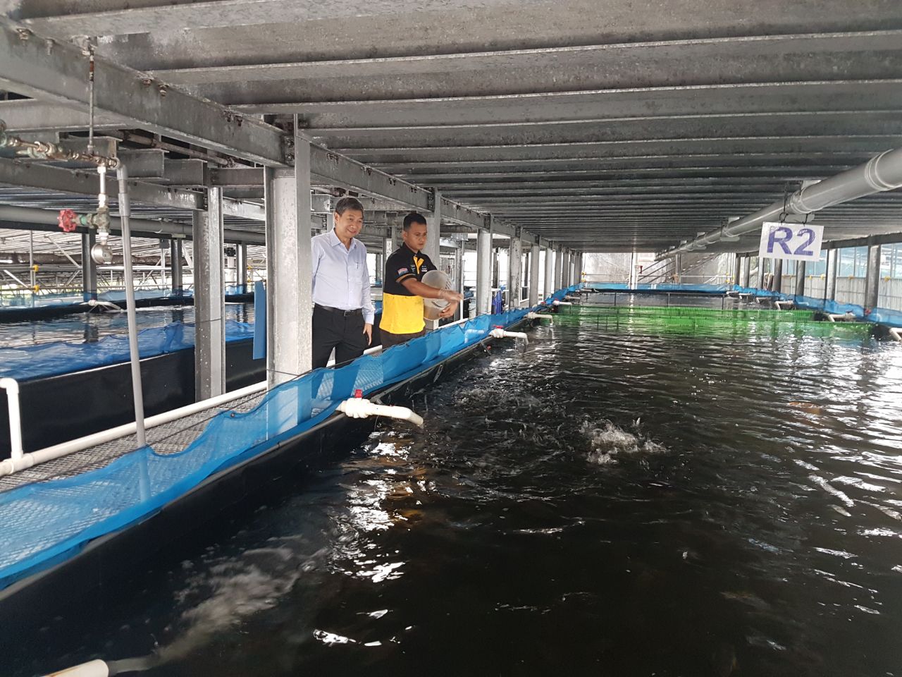 'Floating Ponds' concept that could see vertical fish farms in parks ...