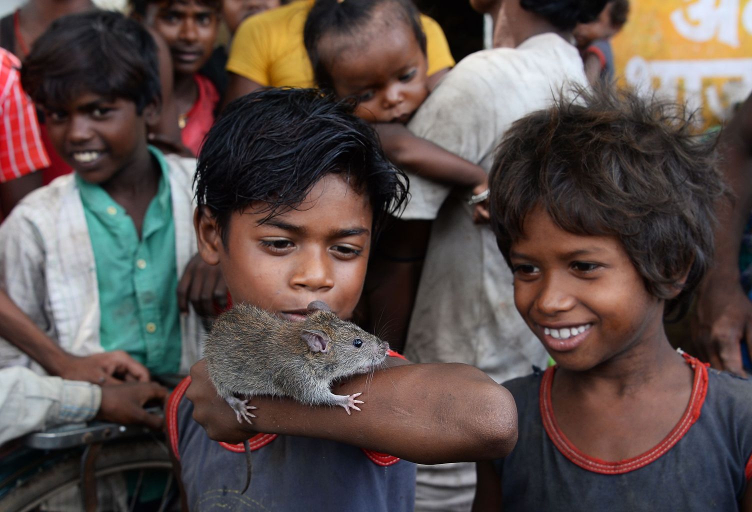 The Rat Eaters of India: A marginalised community that may be the ...