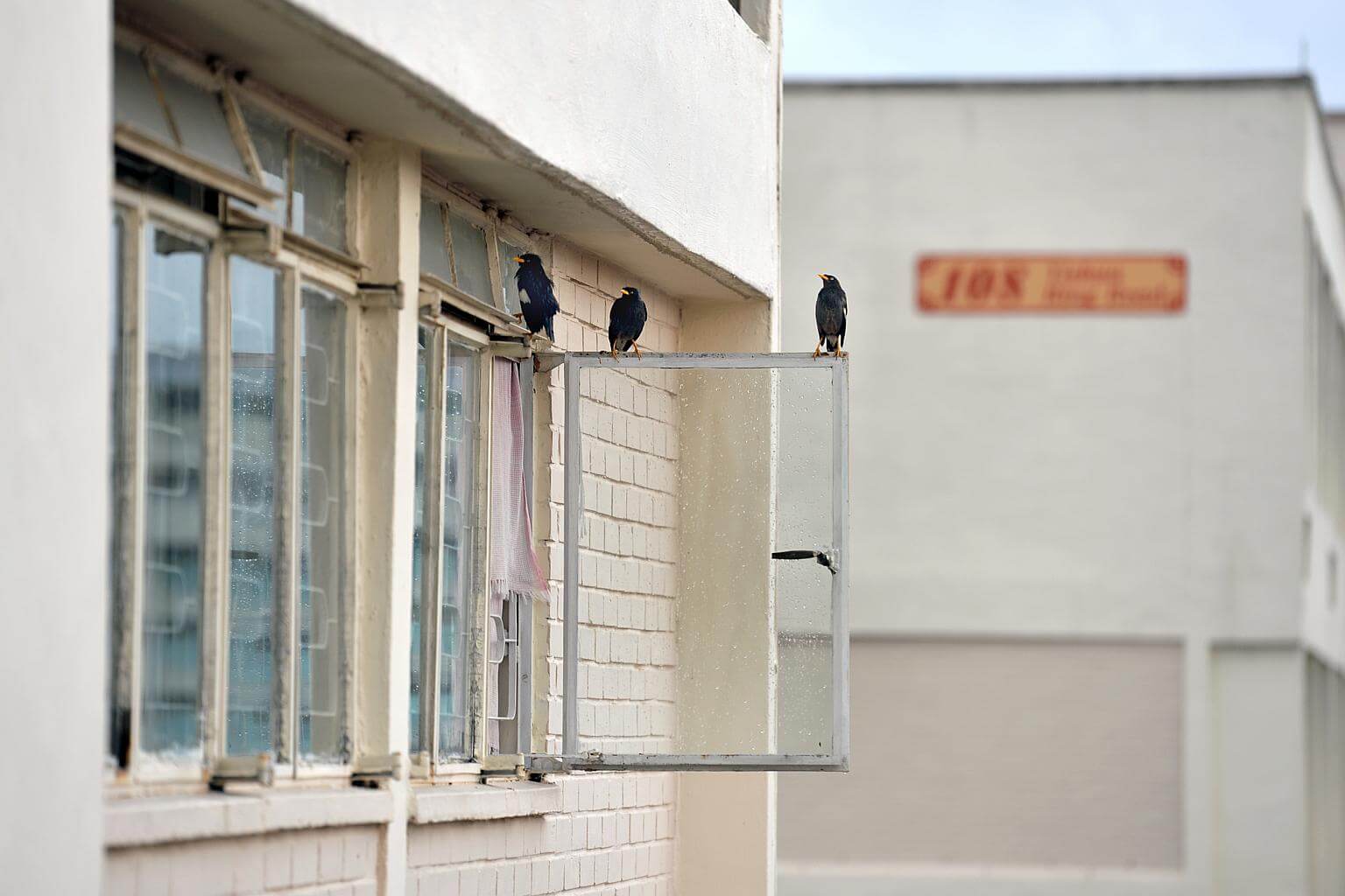 50 cases of falling windows this year in five-year high | The Straits Times