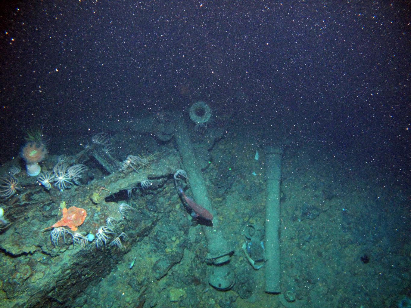 Australia's WWI submarine wreck found off PNG by same ship used in ...