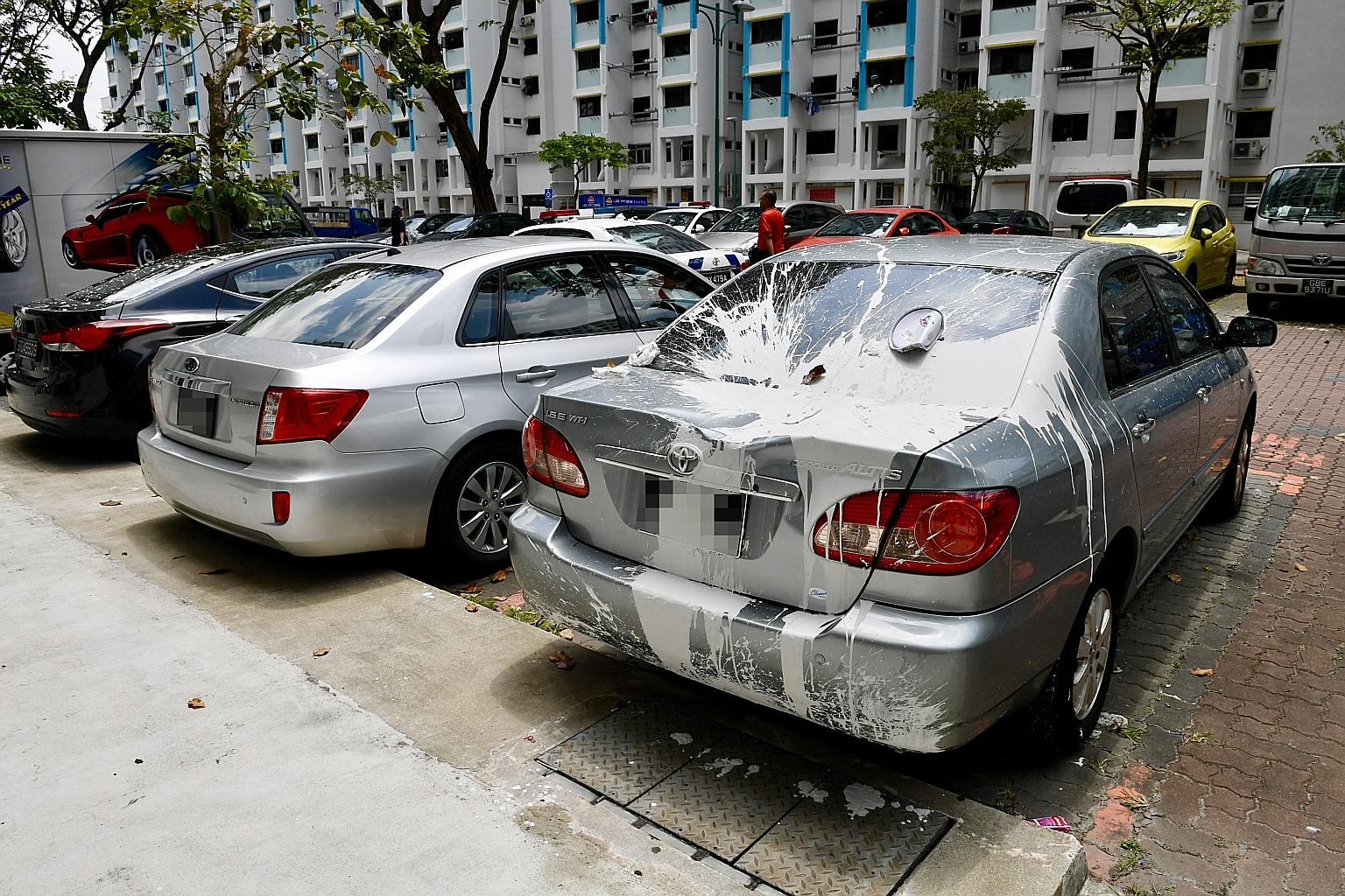 Man arrested for killer litter | The Straits Times