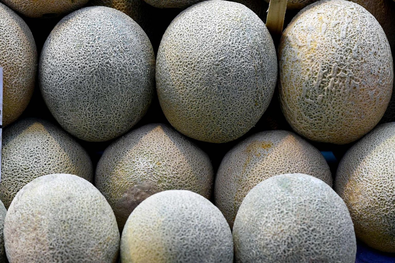 Fourth person dies in Australia from contaminated melon | The Straits Times