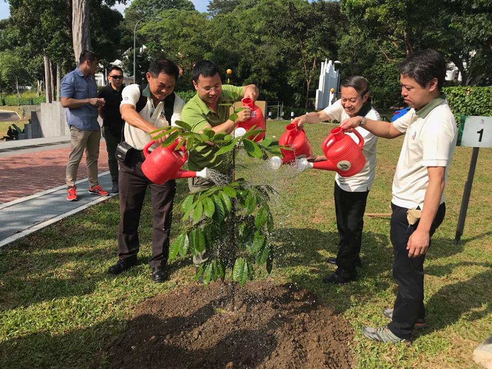 New National Parks Board online map trees.sg lists locations, info of ...