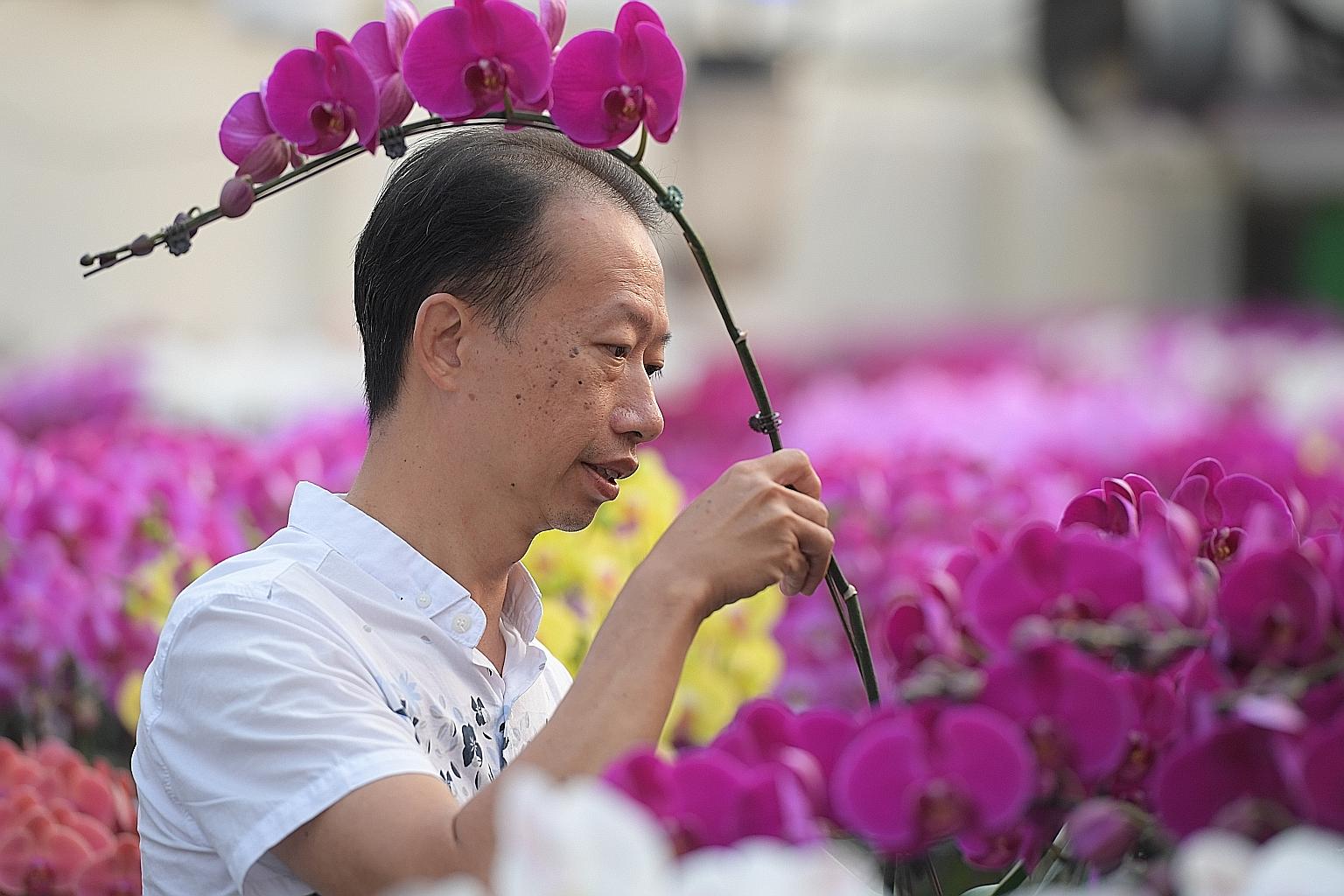 Bloom or gloom? Orchid farm owner weighs prospects | The Straits Times