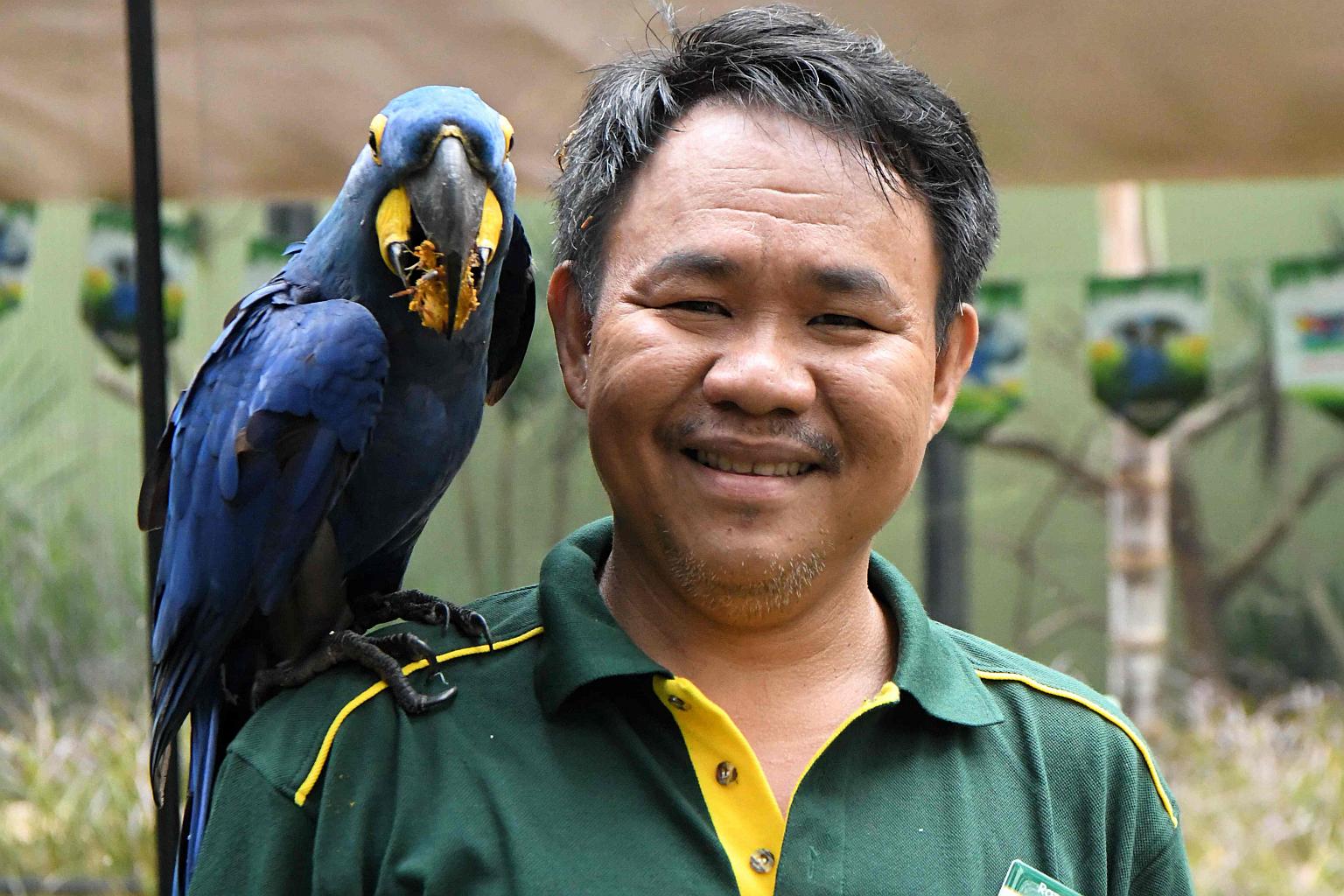Deaf 'bird whisperer' forms rare bond with feathered friends at Jurong ...
