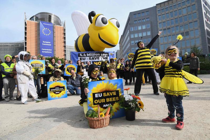 EU to ban bee-killing pesticides | The Straits Times