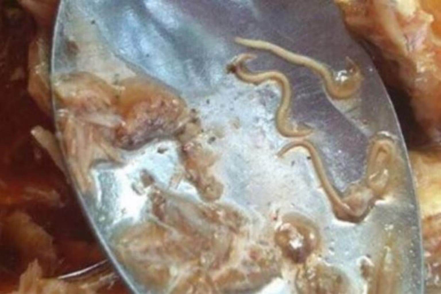 6 more brands of canned fish contaminated with worms: Malaysia's Health ...