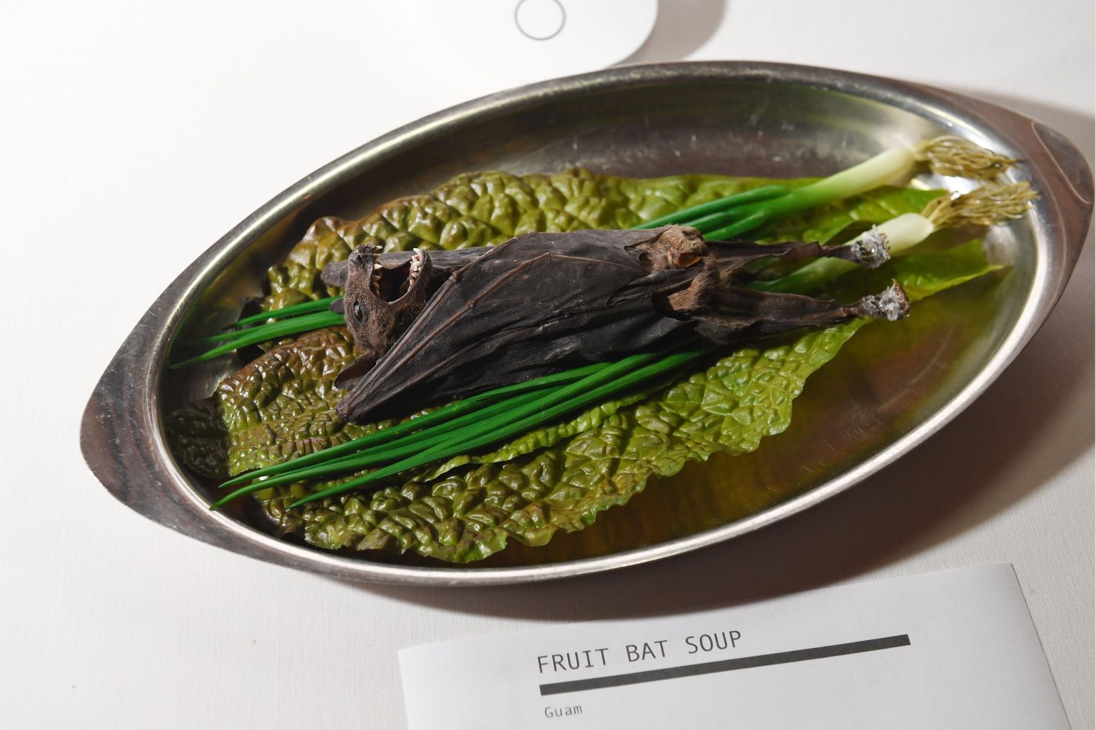 Maggot cheese, putrid sea herring or virgin boy eggs - bon appetit at ...