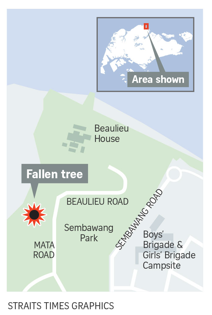 My friends were trapped under log and roof: Woman in Sembawang Park ...