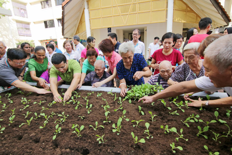 Community gardening scheme plants a million native species in a decade ...