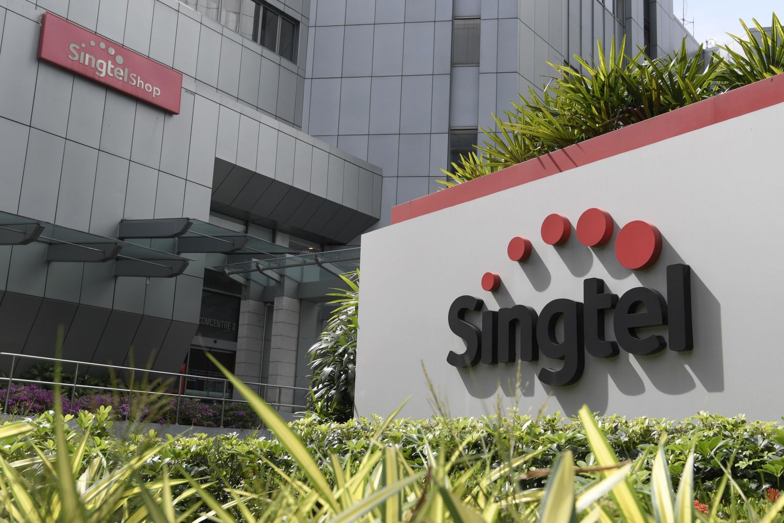 SGX rejects 8Telecom's request for more time to file sustainability ...