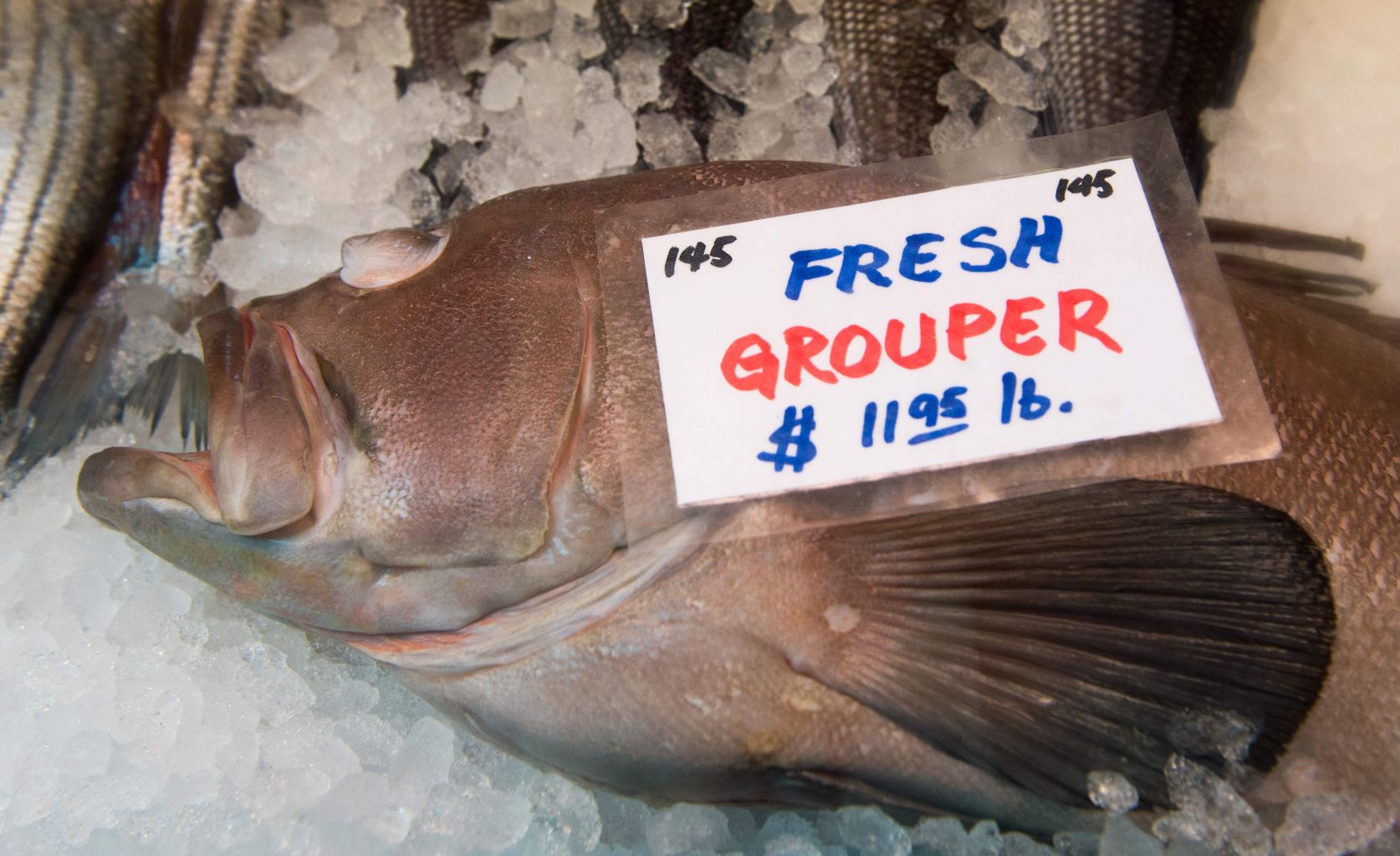 One in five fish sold in the US may be mislabelled: Study | The Straits ...