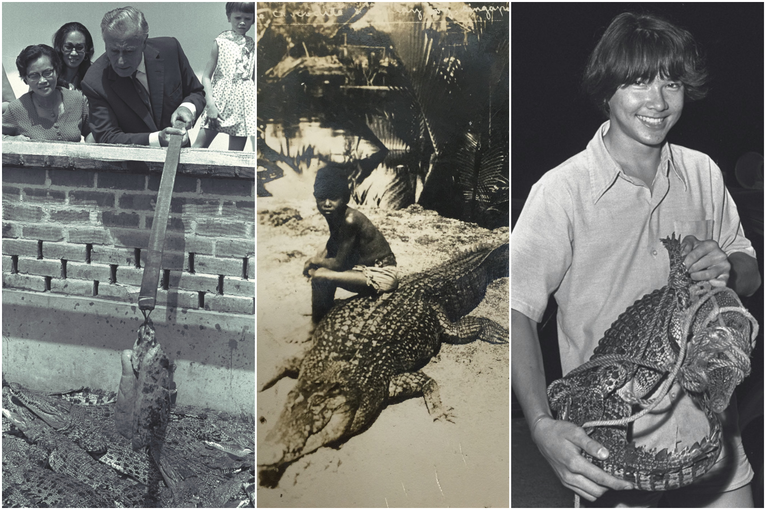 Fear and fascination: 200 years of the crocodile in Singapore | The ...