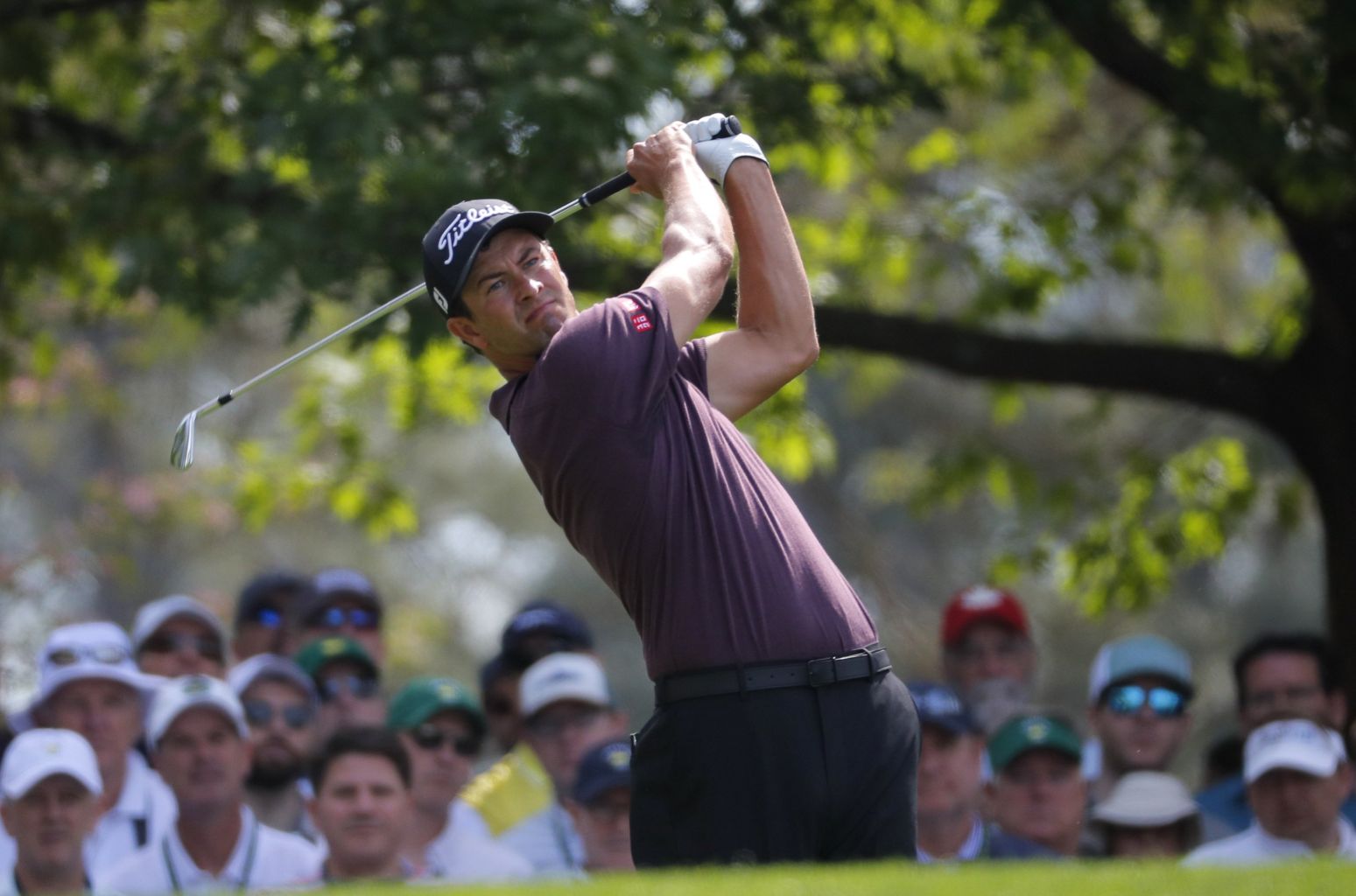Golf: Scott shares clubhouse lead, Tiger one off the pace at Masters ...