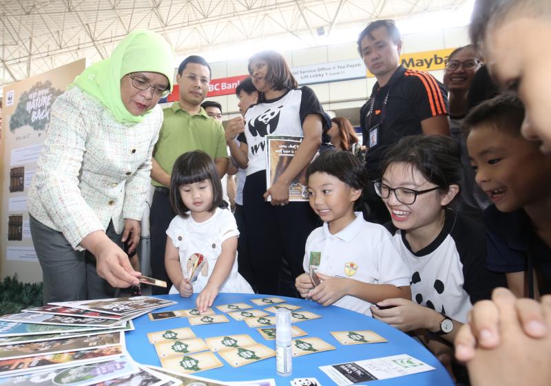 NParks discovers 40 potentially new species of animals in Bukit Timah ...